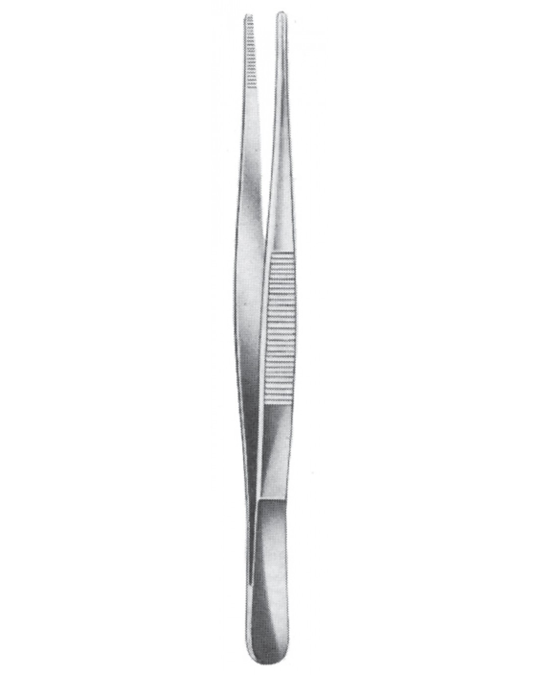 Dissecting Forceps, Standard,(Narrow Pattern),13 cm/5 1/8?