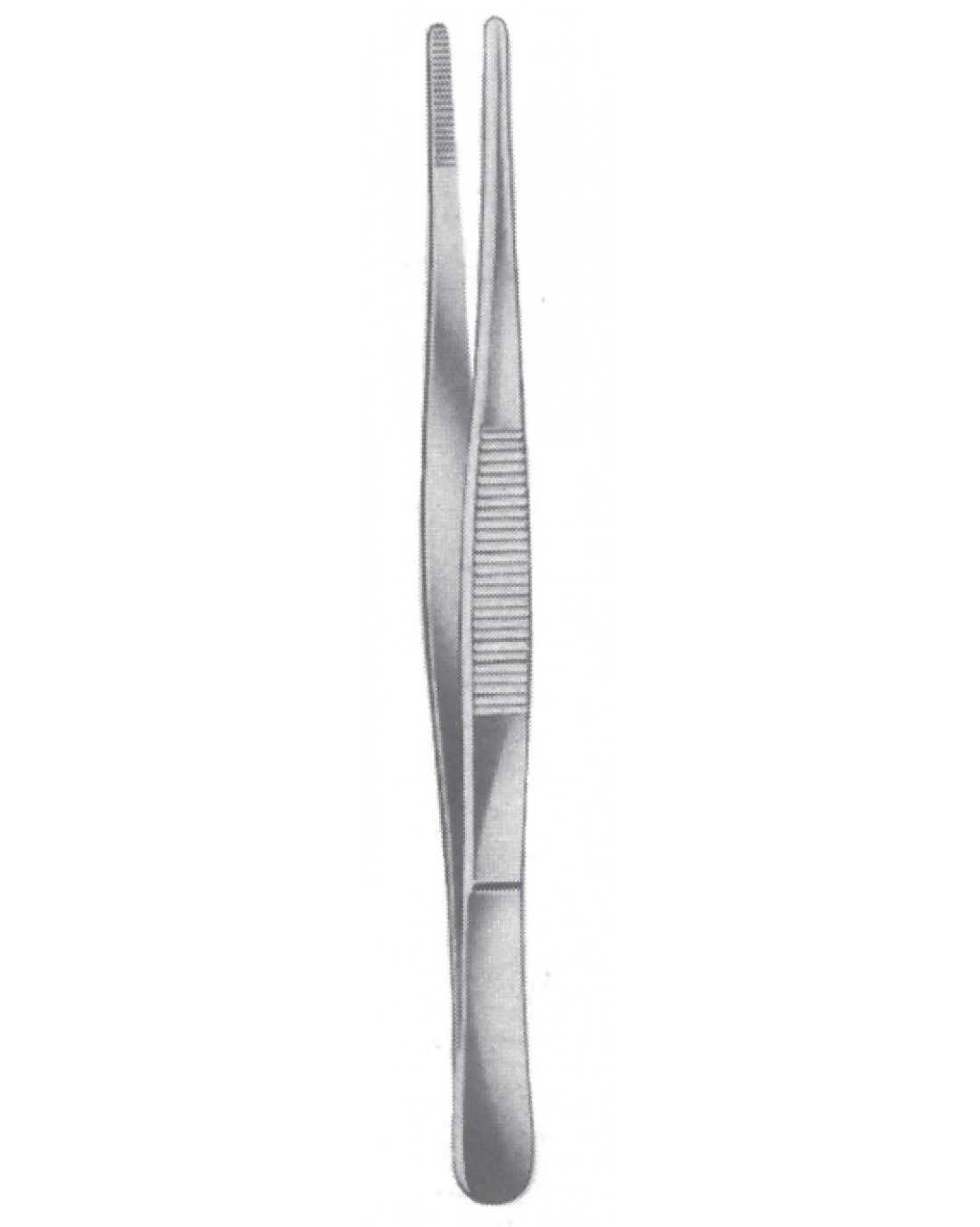 Dissecting Forceps, Standard,(Straight) 16 cm/6 1/4?