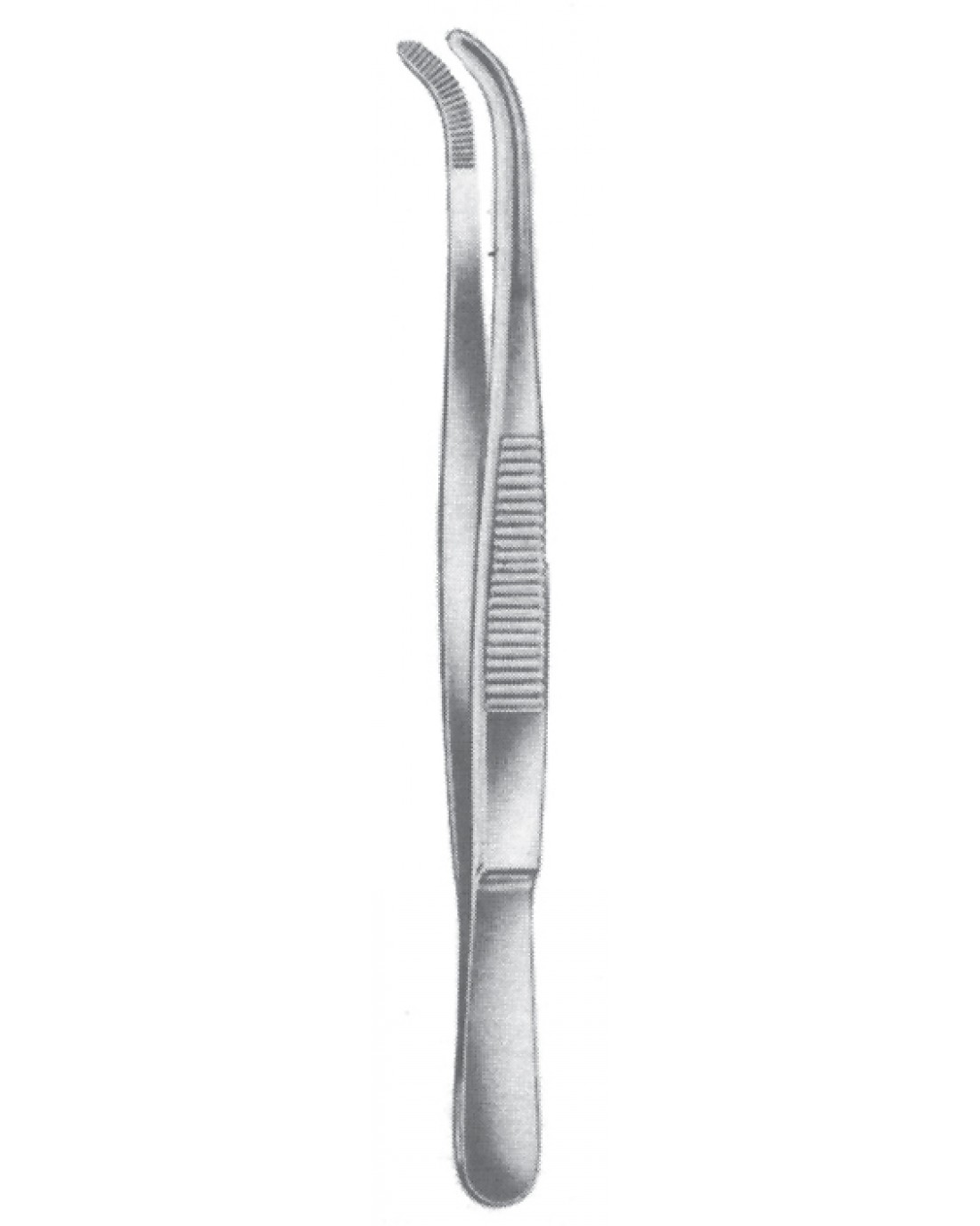 Dissecting Forceps, Standard,(Curved) 23 cm/9?