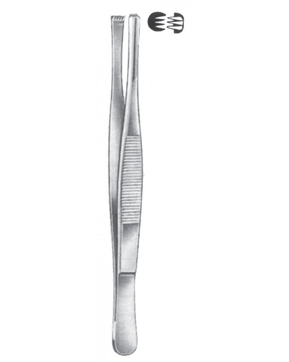 Tissue Forceps, Standard, 16.0