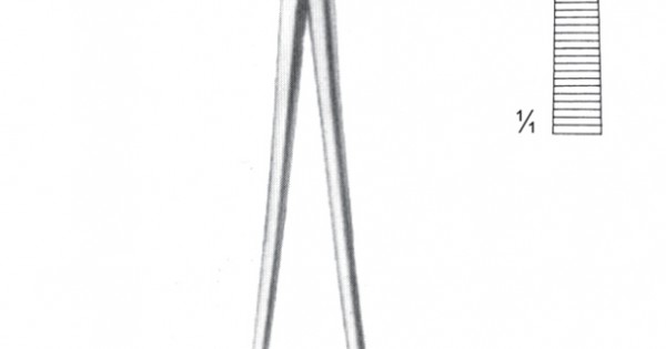 Dissecting and Ligature Forceps, Roberts, 22 cm/8