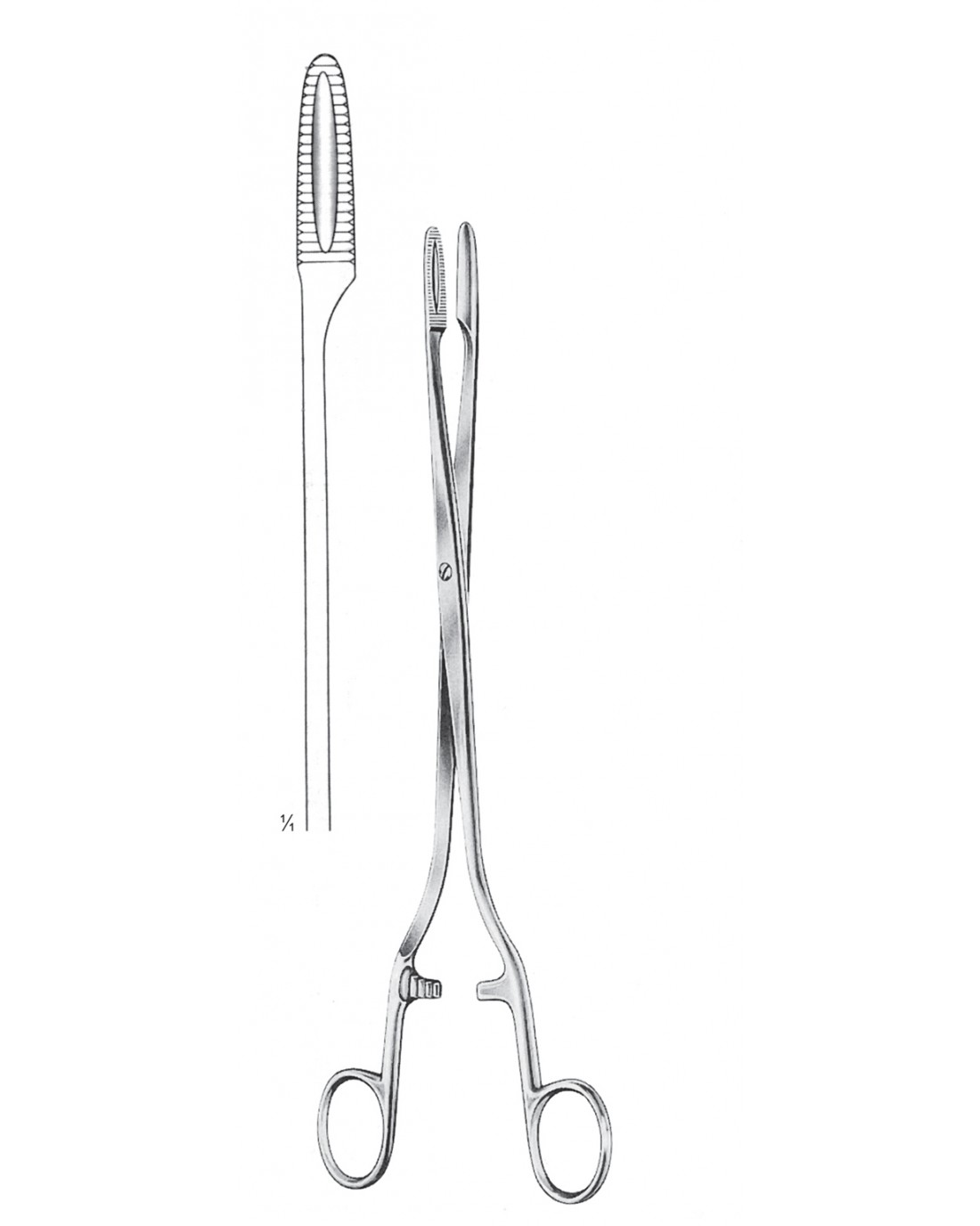 Dressing and Cotton Swab Forceps, Sims-Maier, 28 cm/11?