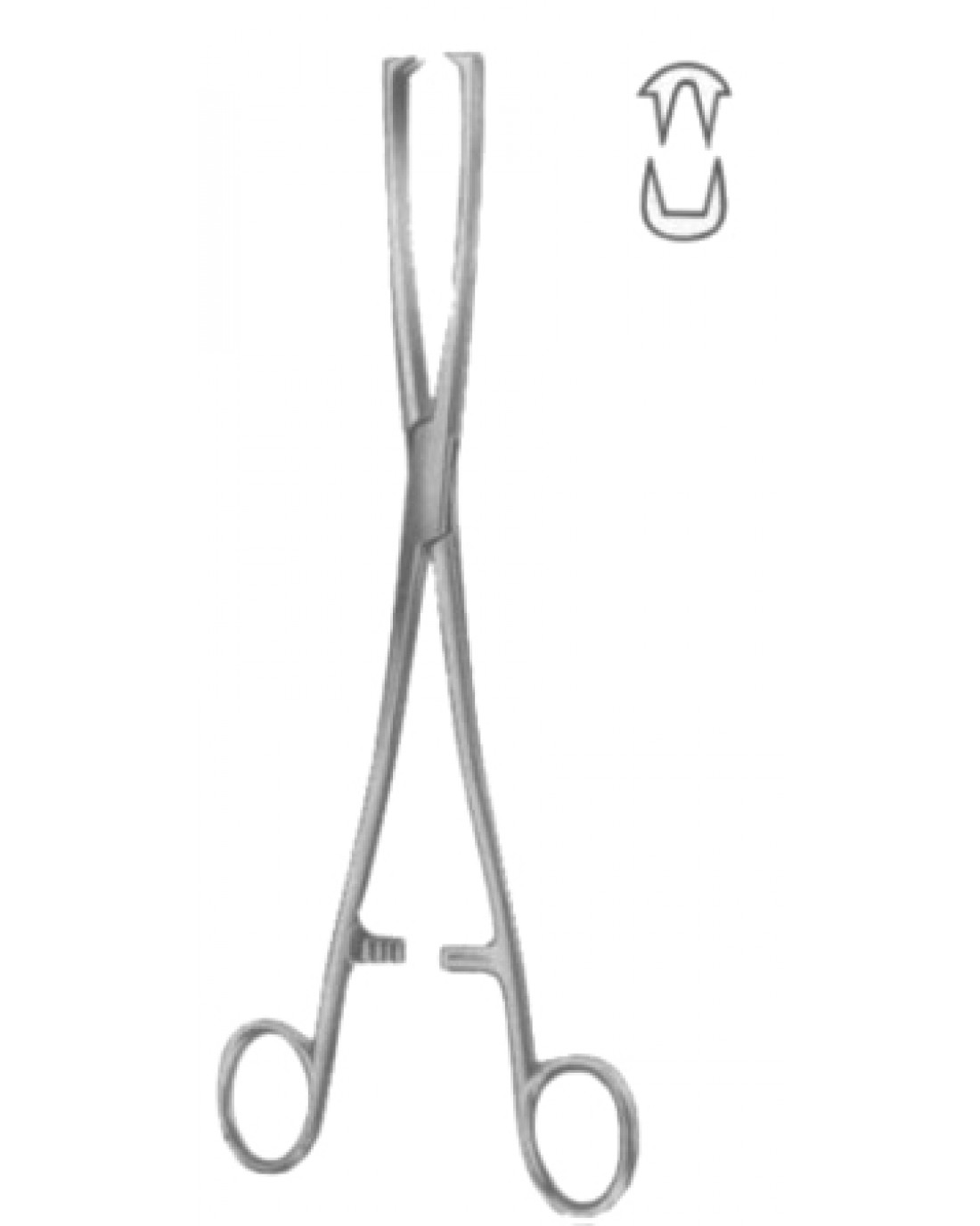 Tenaculum Forceps, Meseux, 24.0 cm