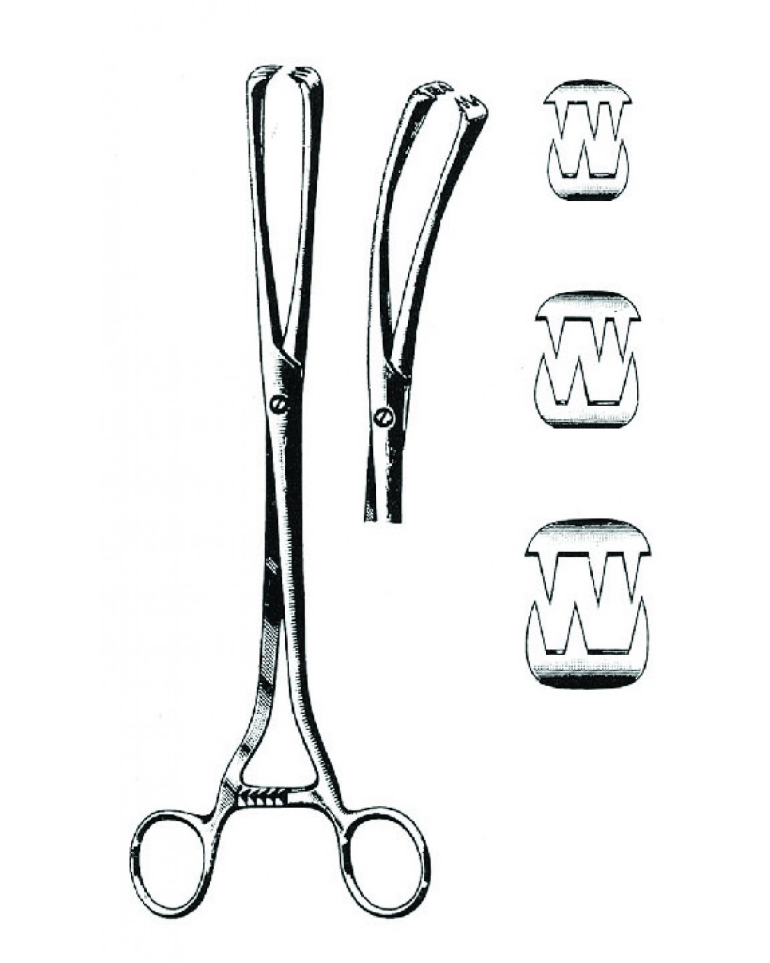Tenaculum Forceps, Meseux, 26.0 cm